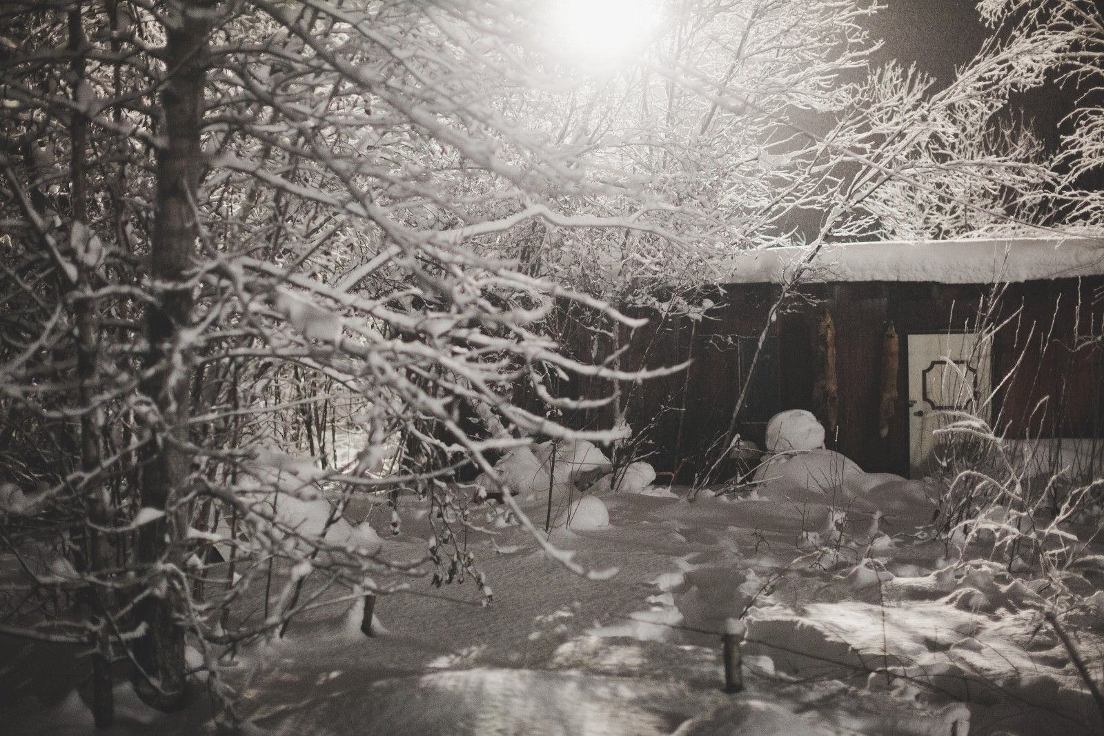 Photo du film Unnatural - Photo 8 sur 10 - AlloCiné