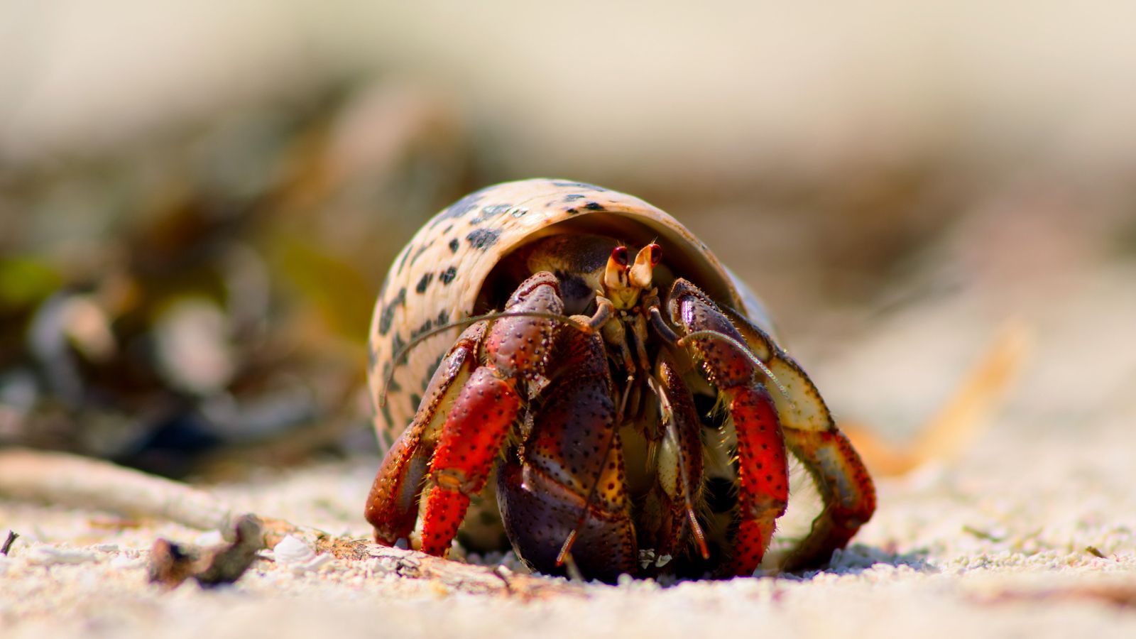 Tiny World : Tiny World : Photo - 22 sur 27 - AlloCiné