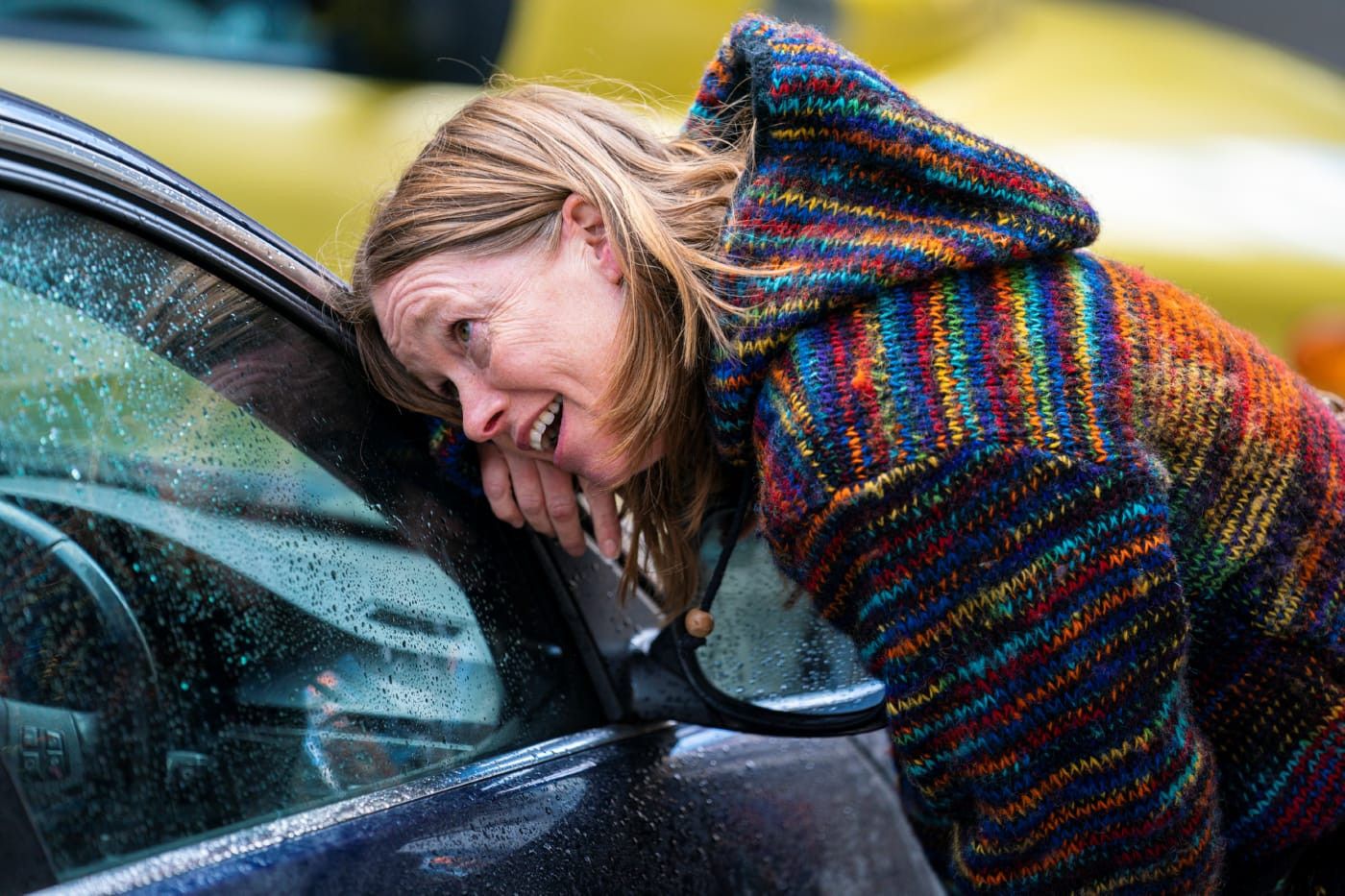 Ragdoll : Ragdoll : Photo Robin Weaver - 3 sur 24 - AlloCiné