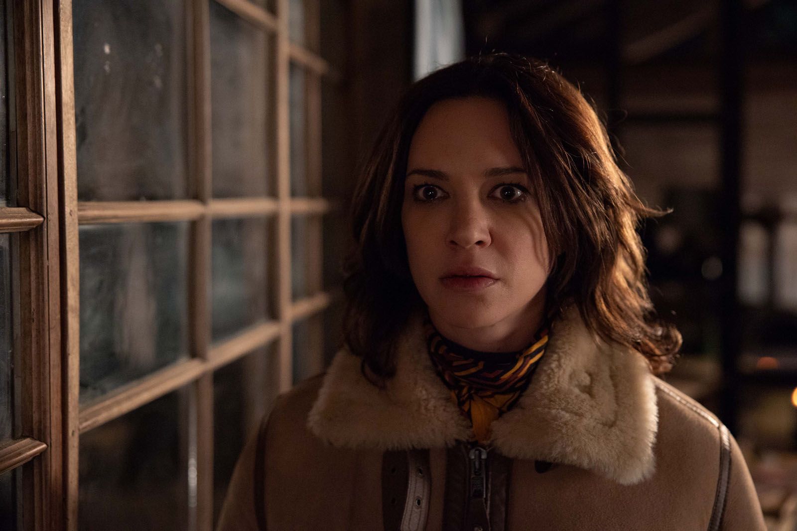 Photo du film Seule : les dossiers Silvercloud - Photo 3 sur 10 - AlloCiné