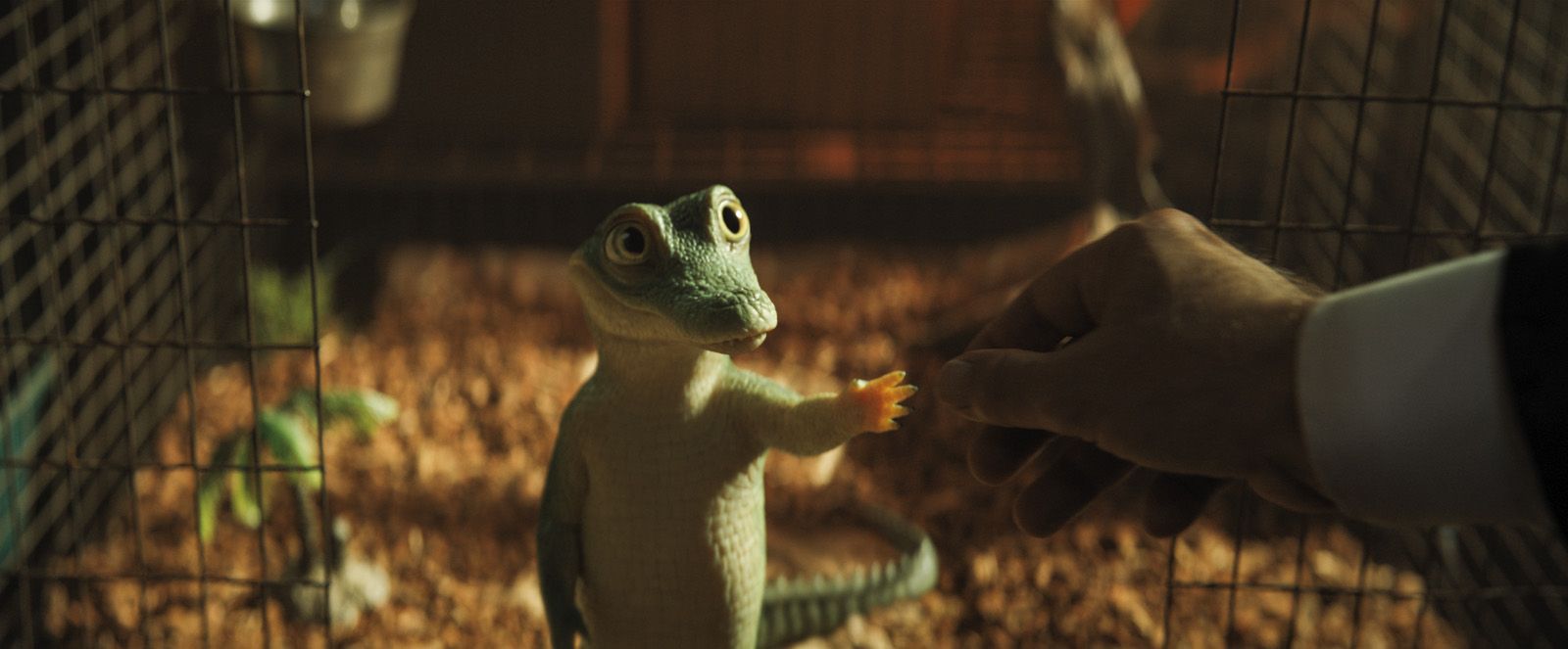 Photo du film Enzo le Croco - Photo 3 sur 14 - AlloCiné