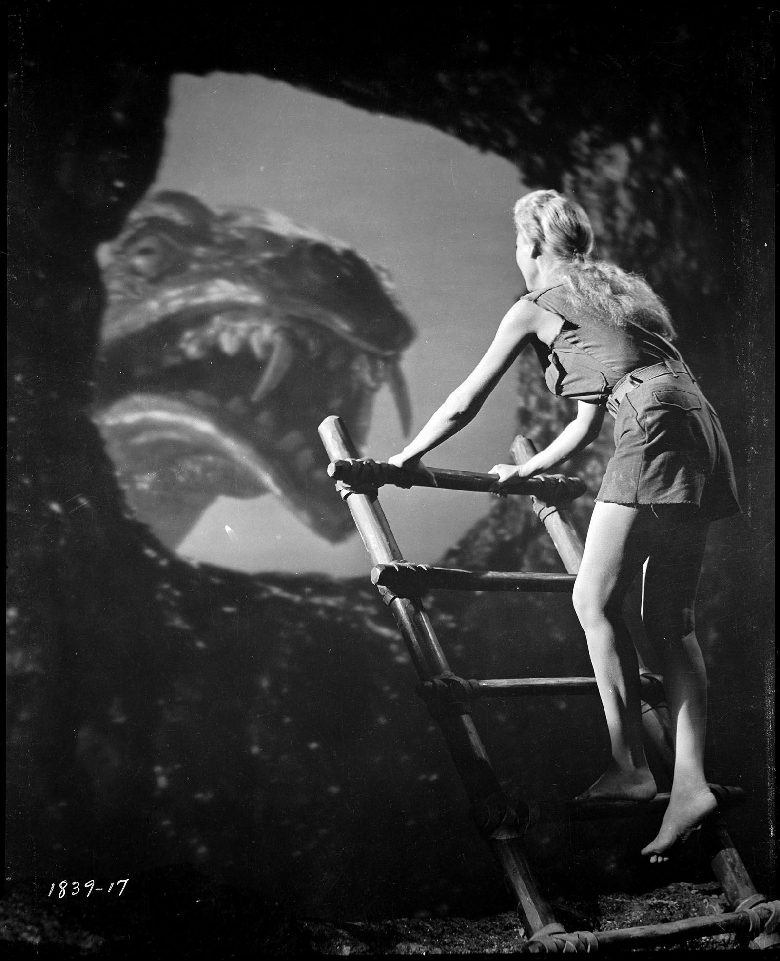 Photo de Shirley Patterson - L'Oasis des tempêtes : Photo Shirley ...