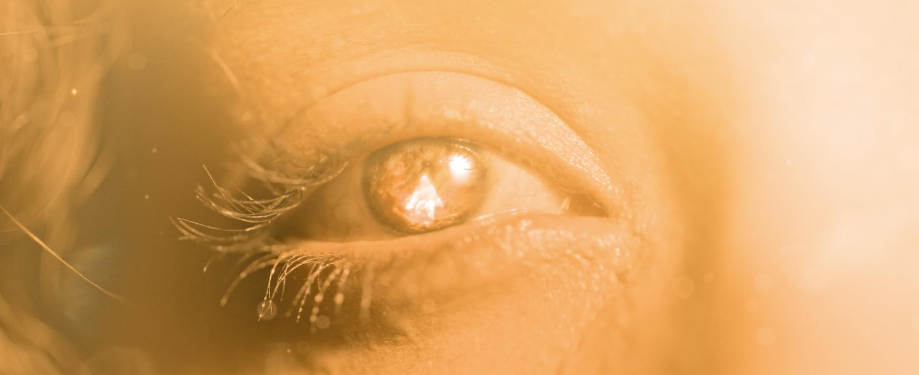 Photo du film After Death - Photo 7 sur 12 - AlloCiné