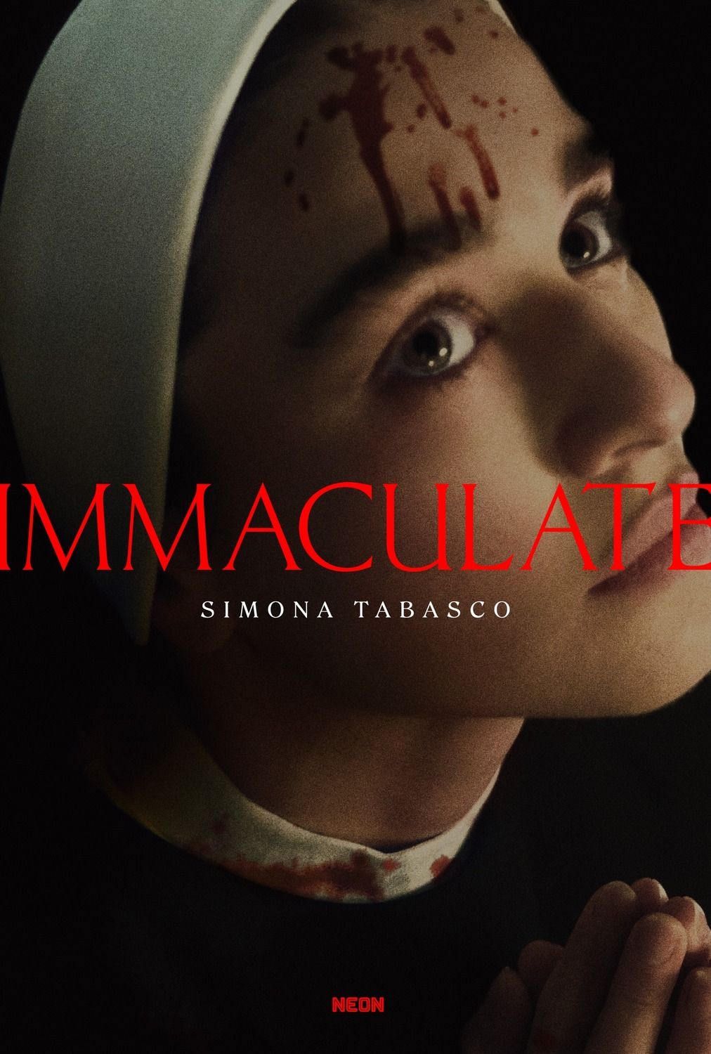 Affiche du film Immaculée - Photo 3 sur 18 - AlloCiné