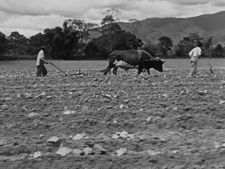 Photo du film La Paga - Photo 5 sur 10 - AlloCiné