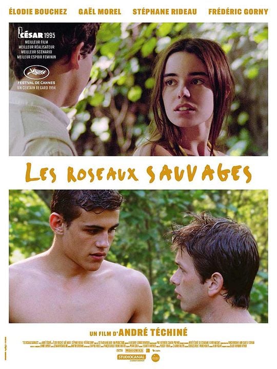 Affiche du film Les Roseaux sauvages - Photo 1 sur 3 - AlloCiné