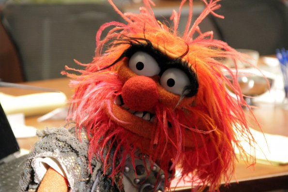 The Muppets : The Muppets : Photo - 37 sur 77 - AlloCiné