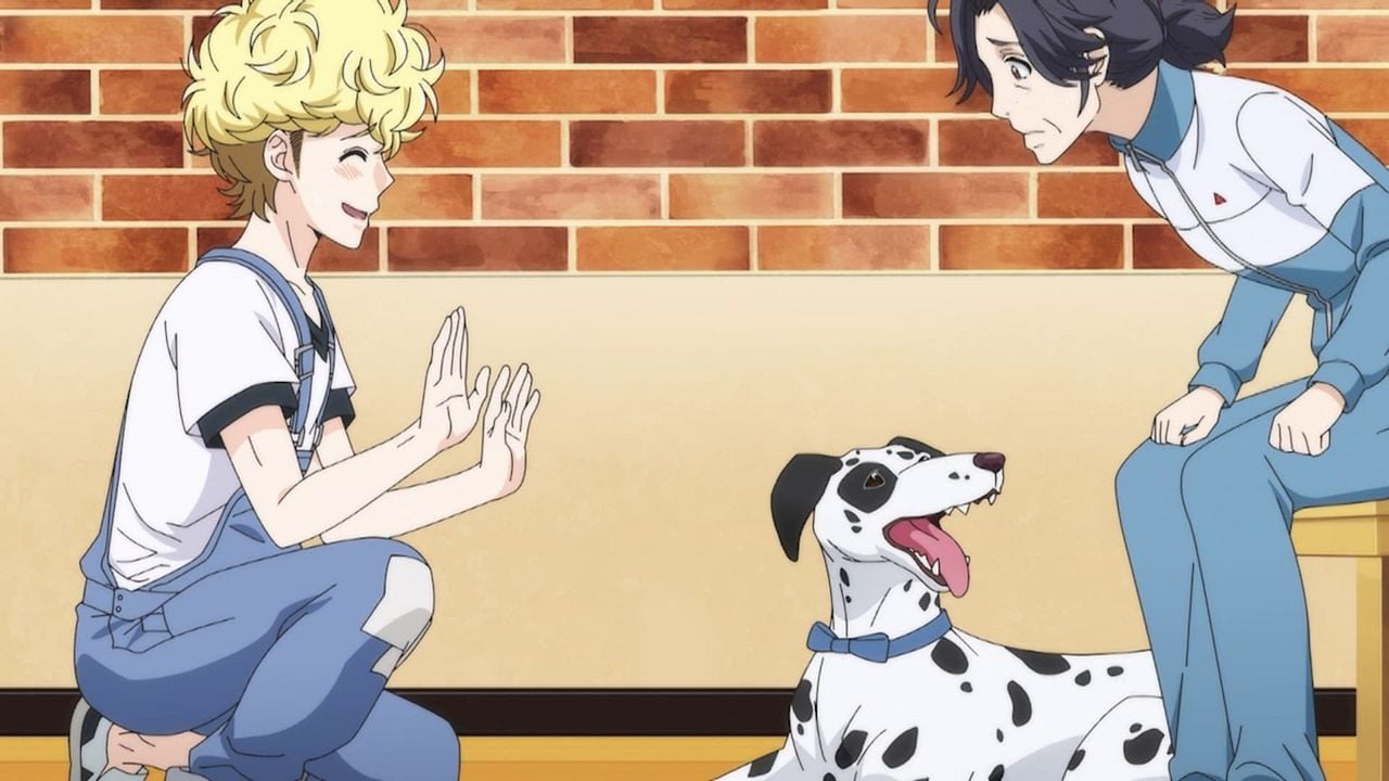 Poster Dog Signal saison 1 - Affiche 14 sur 21 - AlloCiné