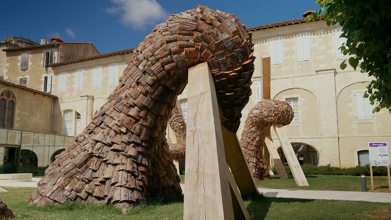 Photo de In Situ - Photo 7 sur 10 - AlloCiné