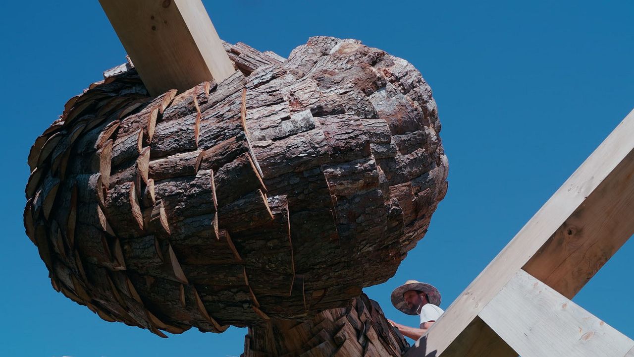 Photo de In Situ - Photo 4 sur 10 - AlloCiné