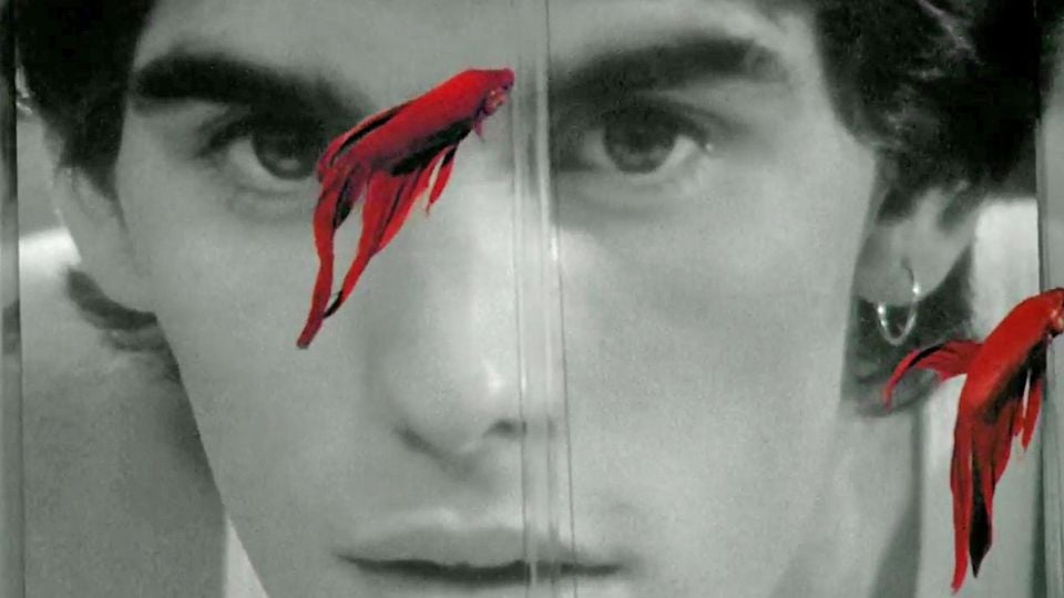 Extrait du film Rusty James - Rusty James EXTRAIT VO "Poissons ...