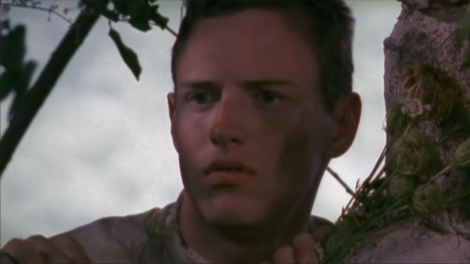 Trailer du film Poison - Poison Bande-annonce VO - AlloCiné