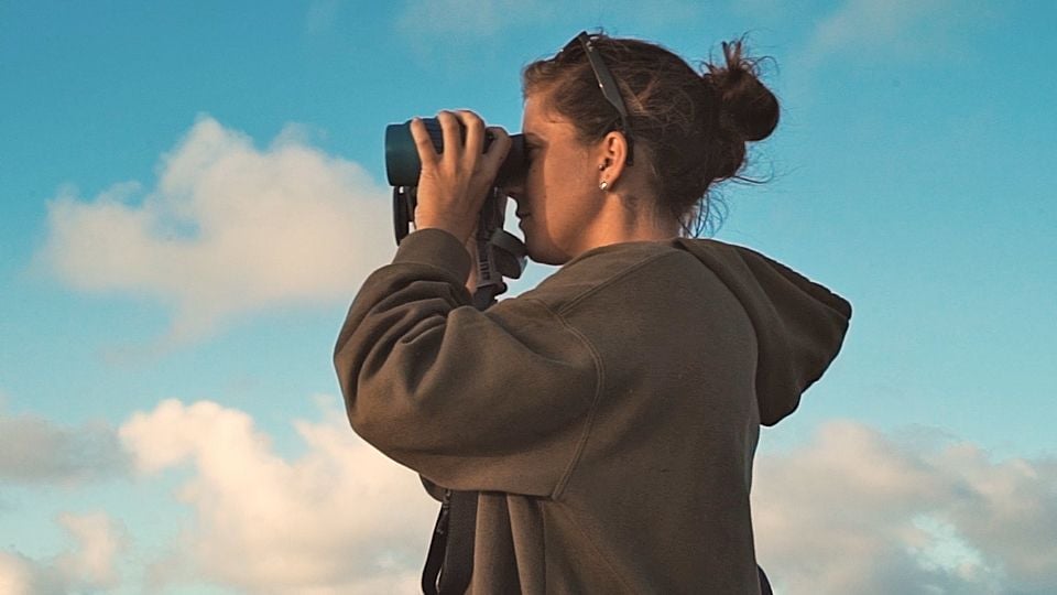 Bande annonce de Rorqual - Rorqual Bande-annonce VF - AlloCiné