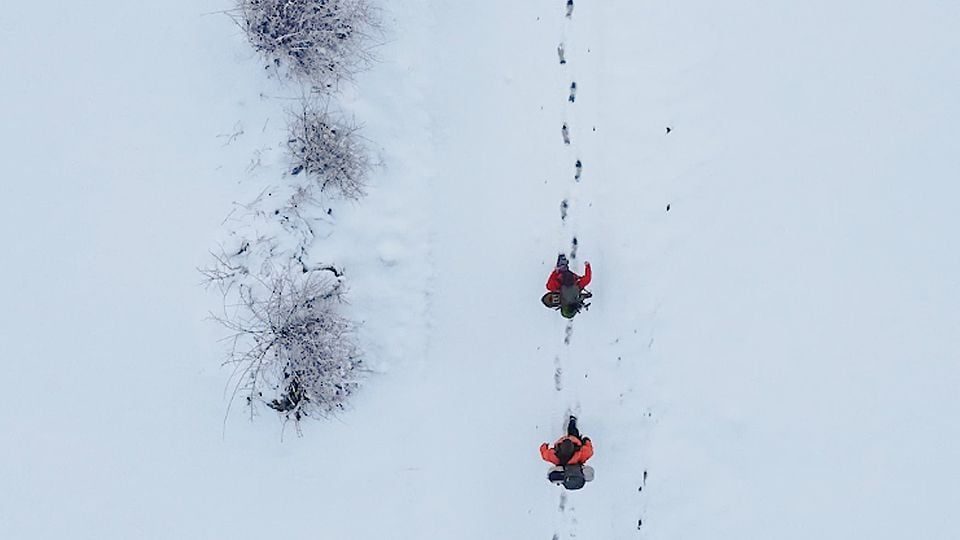 Trailer du film L’Interdite : sur les traces de l’absinthe - L ...